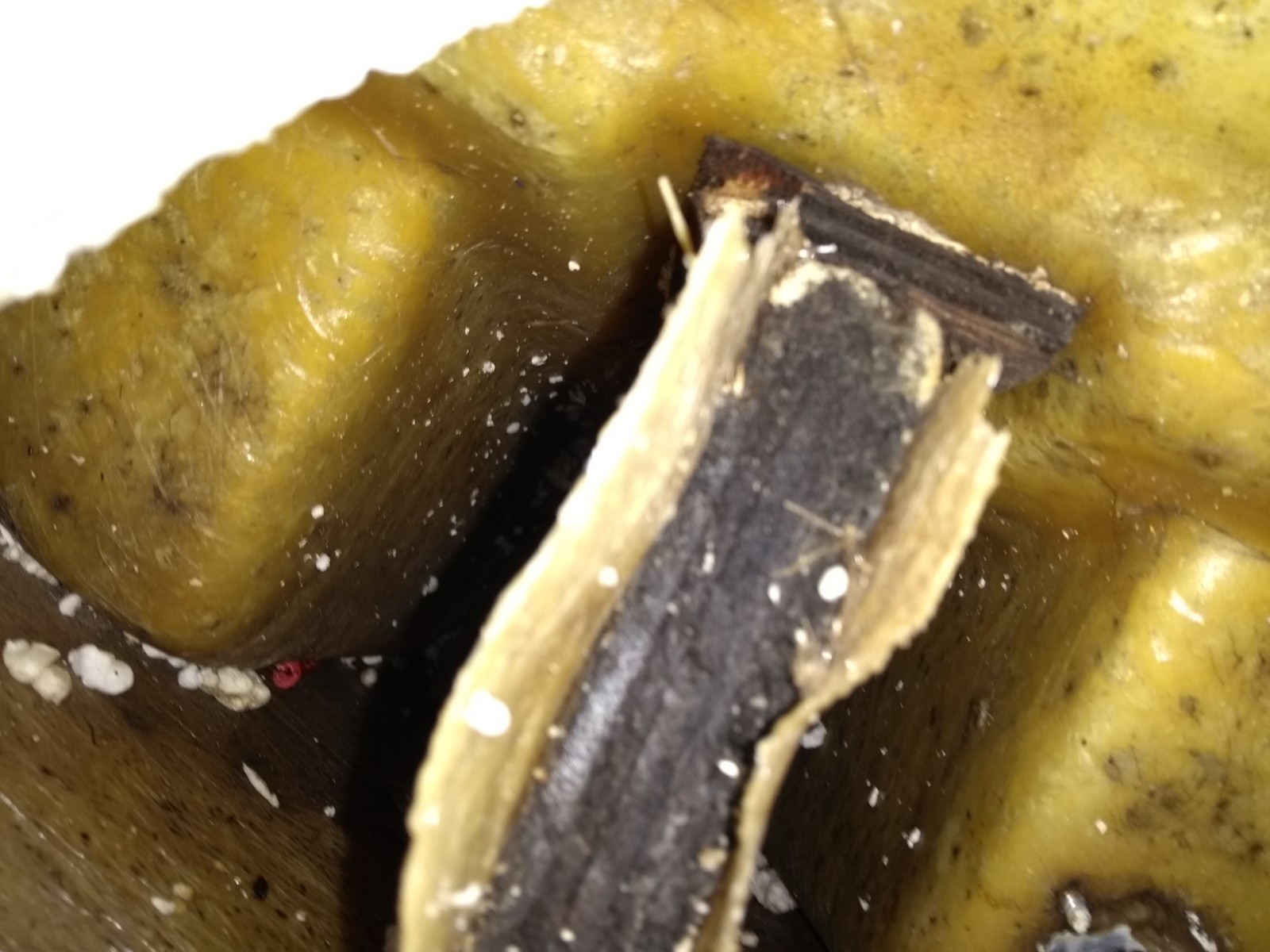 Wanderer Dinghy – Mast Step Repair – Part 1 | Martin's Blog