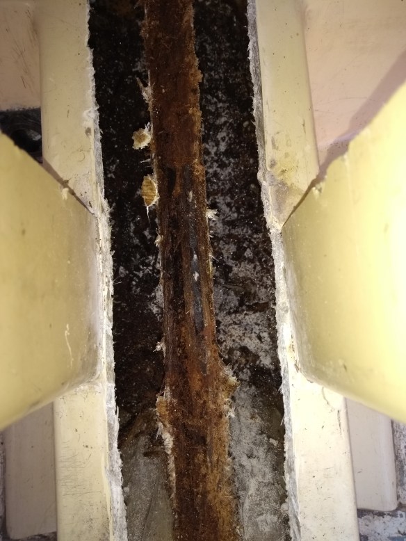 Wanderer Dinghy – Mast Step Repair – Part 1 | Martin's Blog