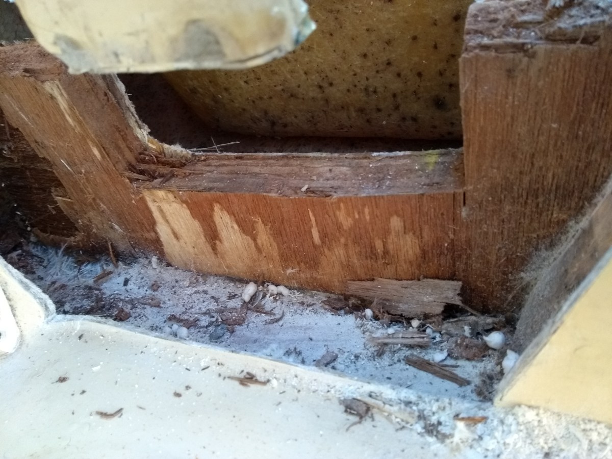 Wanderer Dinghy – Mast Step Repair – Part 2 | Martin's Blog